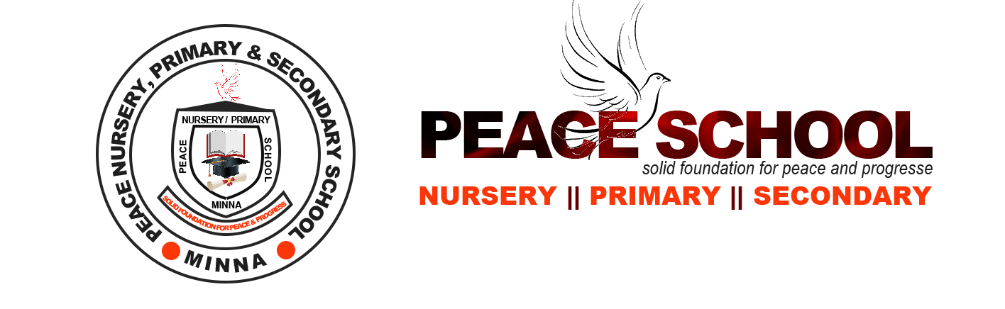 Peace Schools – solid foundation for peace and progress